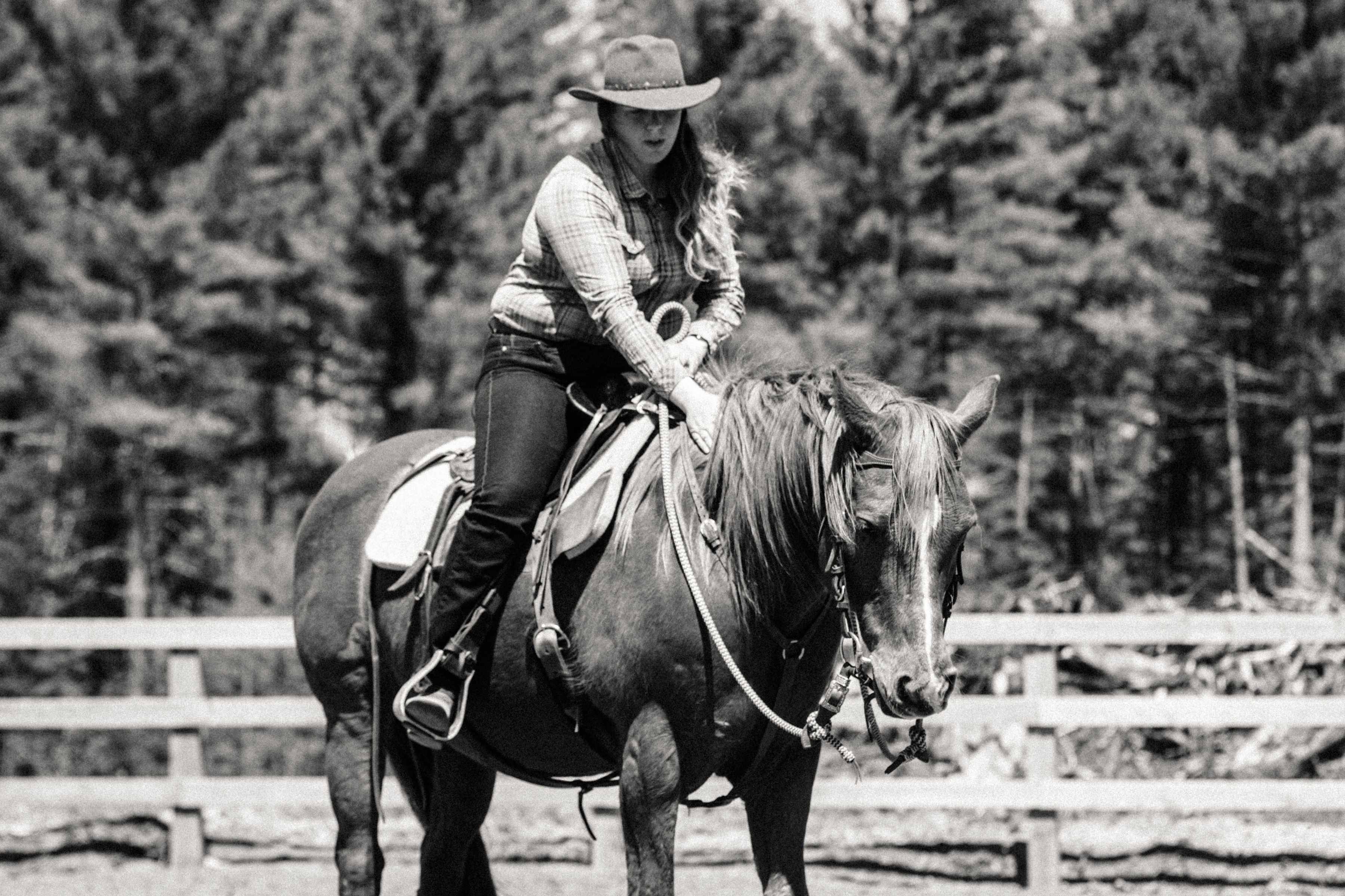 Sheriff Horsemanship – Teaching, Training, Riding